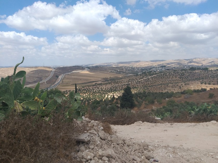 Beit Mirsim to Al Kom | Palestinian Heritage Trail